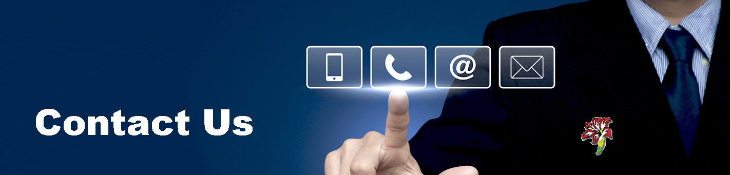 Contact Us – WPDSAA